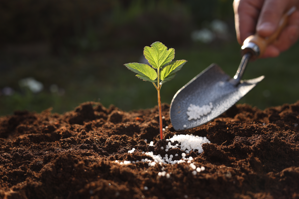 Webinar: Patenting innovations in biofuels and fertilisers - Latest ...