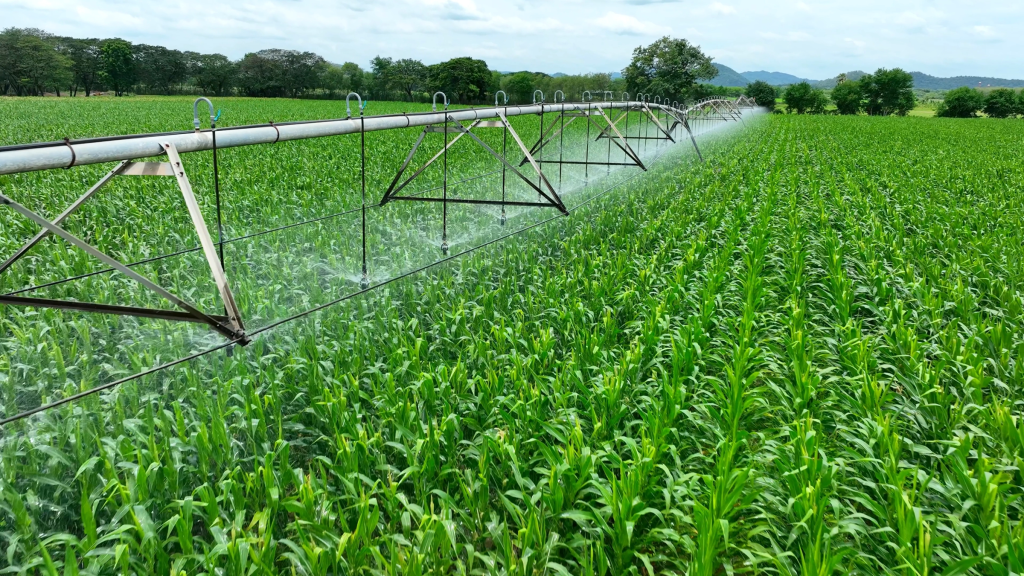Webinar: Patenting pest management solutions - Latest News - Wilson Gunn
